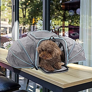 Petsfit Expandable Cat Carriers Small Dog Carrier, Airline Approved Soft-Sided Portable Washable Pet Travel Carrier with Two Extension for Kittens,Puppies,Rabbits