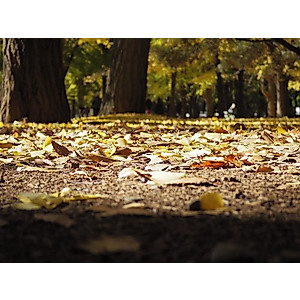 PENTAX digital SLR camera Q10 double zoom Kit silver Q10 WZOOMKIT SILVER [International Version, No Warranty]