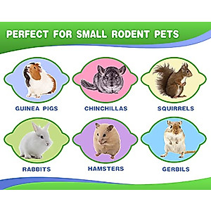 Abizoo Bunny Chew Toys for Rabbits,18PCS Natural Apple Wood Sticks with Petals Good for Chinchillas Guinea Pig Hamster Teeth Care, Bunny Small Pet Treats Teething Toys| Natural Organic Safe