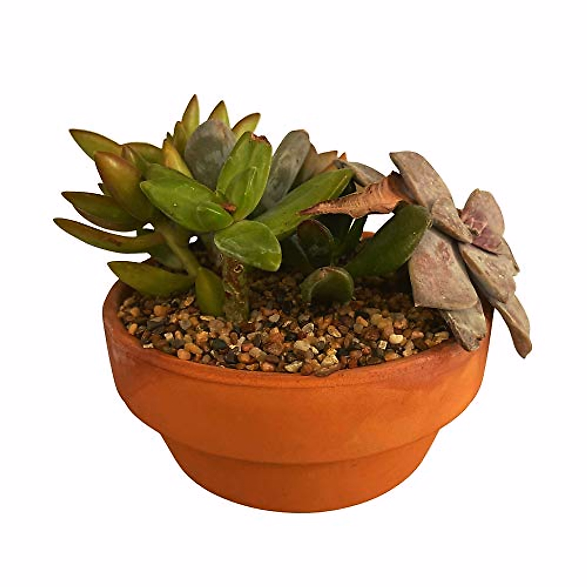 IPW Industries Water Softener Gravel - Garnet Filter Bed Media for Filter Tanks, Water Conditioners, and Water Softeners - Pure Filtration Grade Bedding Perfect for Backwashing Tanks (15 Lbs)