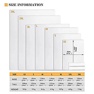 GIFTPUZZ Blue Hibiscus Flower Pattern Soft Throw Blankets, Weighed Blanket Microfiber Soft Plush Blanket, Multi-Function for Couch Chair Sofa Bed Outdoor Beach Travel Throws Cover, All Season Use XS