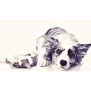 I LOVE MY PETS LLC Dog Digestive Treats - PET Ultra Vitamins - Dogs Cats Health - Best Benefits - Dog Vitamin a - 270 Treats (3 Bottles)