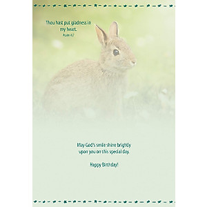 HTL Card-Boxed-Childrens Birthday-Fuzzy Friends (Box of 12)