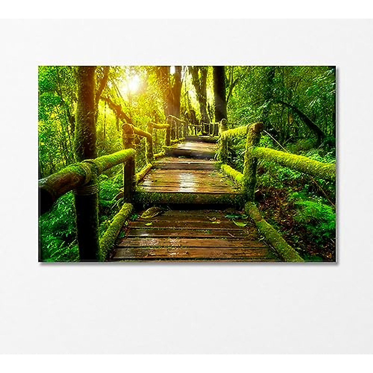 Old Wooden Bridge in Doi Inthanon National Park Thailand Canvas Print 3 Panels / 36x24 inches