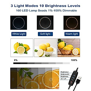 Upgraded PULUZ Photo Studio Light Box 16"/40cm Portable Foldable Photo Light Tent, Professional Tri-Color Dimmable Shooting Tent Kit with 144 LED Lights & 6 Backgrounds (12 Colors)