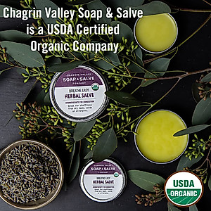 Chagrin Valley Soap & Salve Organic Natural Shampoo Bar - Herb Garden (1 Bar)