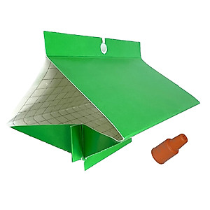 VivaTrap VT-105 Peach Tree Borer + Clearwing Moth Trap & Lure (2 Pack, 8 Week)