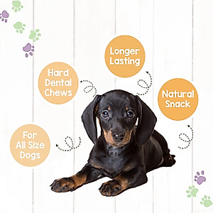 Nature Gnaws American Cheese Chews for Dogs - Long Lasting Hard Chew Treats - Rawhide Free Dog Bones - Yak Alternative - Made in The USA