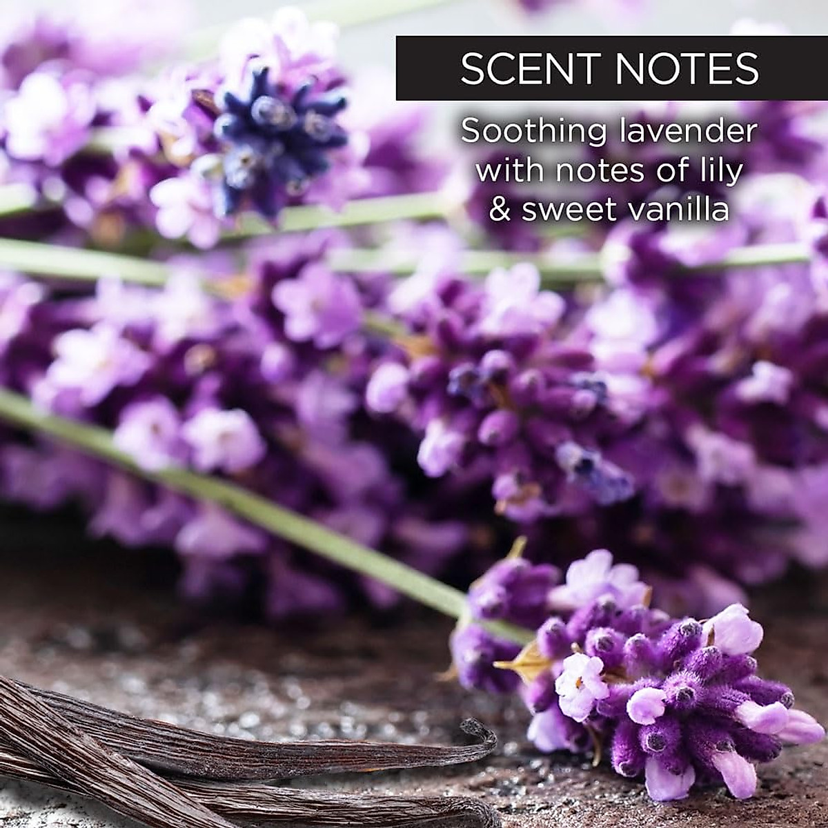 Whish Beauty Body Butter for Women - Moisturizing Body Lotion for Dry Skin - Antioxidant-Rich with Shea Butter, Aloe, & Raspberry Butter - Paraben & Sulfate Free - Lavender - 5 fl oz