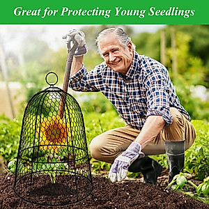 6 Pack Garden Chicken Wire Cloche,19" x 14" Large Plant Protector Cover for Keeping Squirrels,Rabbits,Bunny Chickens Bird Small Animals Out Garden Decoration Wire Plants Dome Metal Cloches-Black