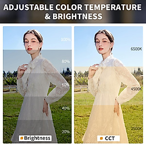 Ulanzi LT028 40W LED Video Light, Portable Continuous Output Lighting, 2500K-6000K Bi-Color Temperature COB Light w 3400mAh Built-in Battery for YouTube Video Recording Photography