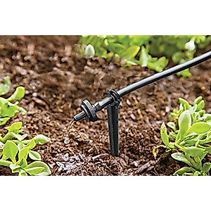 Raindrip R560DP Automatic Drip Irrigation Watering Kit with Timer for Containers and Hanging Baskets, Waters up to 20 Plants, Includes Timer with Customizable Settings and 20 PC Drippers,Black