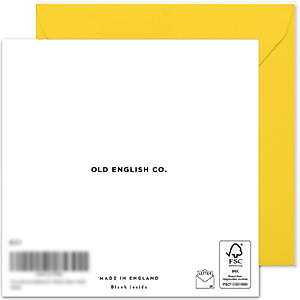 Old English Co. You Brighten Up My Day Card for Him or Her - Daisy Flower Thank You and Thinking of You Card for Friend - Sorry, Sympathy, Condolences for Men and Women | Blank Inside with Envelope