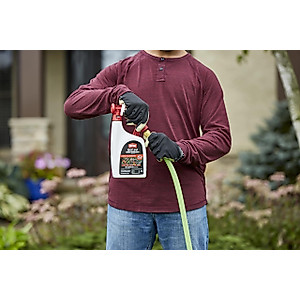 Ortho BugClear Insect Killer for Lawns and Landscapes Ready to Spray, Kills Periodical Cicadas, Ants, Spiders, Fleas, and Ticks, 32 oz., 3-Pack