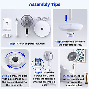 Primevolve 10.6 inch Oscillating Fan for Bedroom, Air Circulator Fan with 6 Speeds Powerful Airflow, Height Adjustable for Cooling Room, Office, Kitchen, White