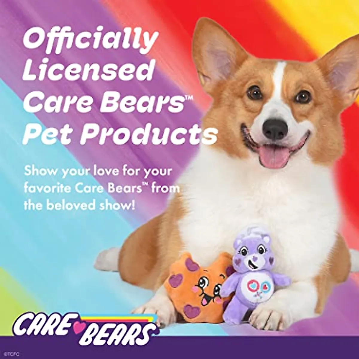 Care Bear for Pets 2PC Set Share Bear Squeaker Flattie Plush Dog Toy With Crinkle Texture Cookie, 4" Small Collectible Toy (FF20238)