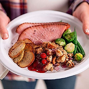 Chinet Classic White Paper Dinner Plates, 10 3/8 Inch, 165 Count, Whitish Brown (CHINET165DINER)