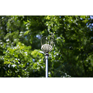 DOCAZOO DocaPole Fruit Picker Basket Attachment: Twist-On Perfect Fruit Picking Tool for Gathering Apple, Avocados, and Other Fruits