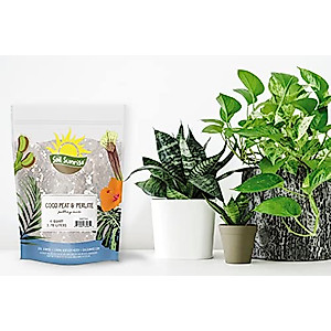 Coco Peat Perlite Potting Mix (2 Quarts), Loose Coconut Coir and Perlite