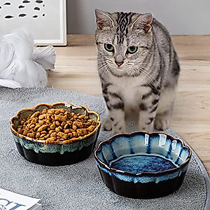 SIDUCAL Ceramic Cat Bowls, 5 Inch Cat Bowls for Food and Water, Non-Slip Cute Pet Feeding Bowls for Cats and Small Dogs, Nice Glazed, Oven Microwave Dishwasher Safe(Blue/Green-2 Packs)