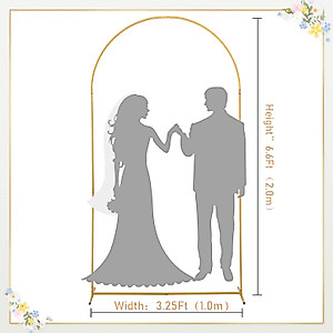 6.6Ft Metal Arch Backdrop Stand, Gold Wedding Balloon Arched Backdrop Stand for Wedding Ceremony Birthday,Party,Friends Gathering,Christmas,Garden Decoration