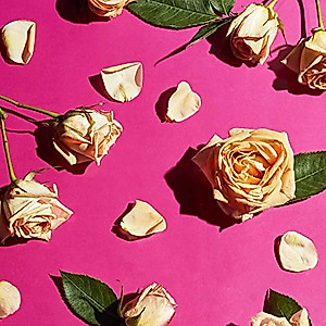 Softsoap Liquid Hand Soap, Soft Rose - 7.5 Fl Oz (Pack of 6)