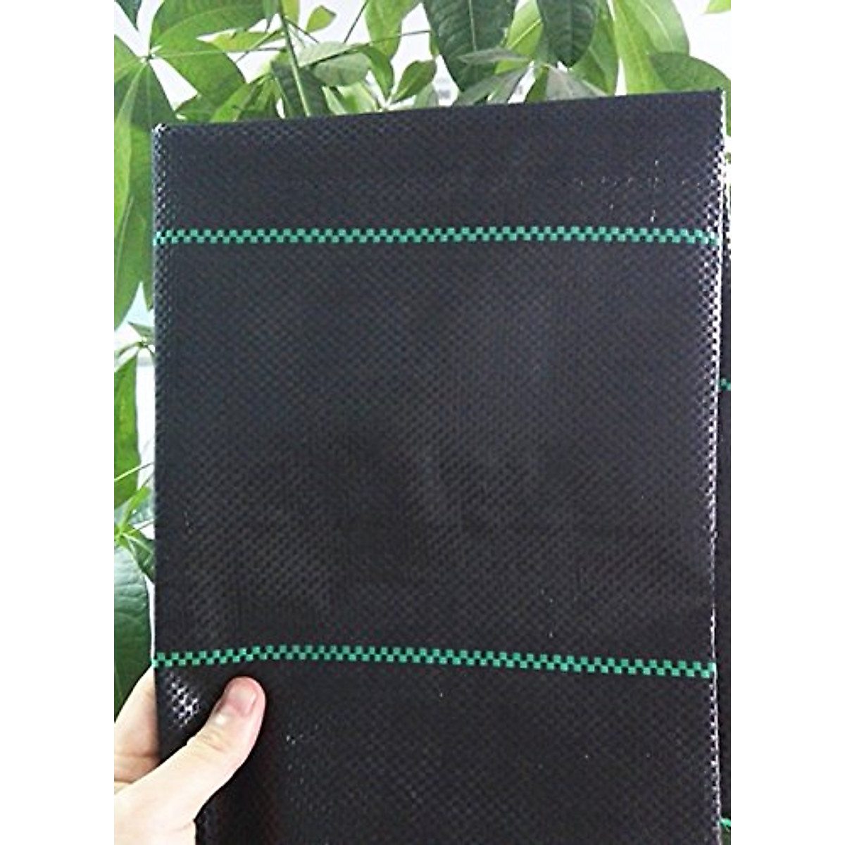 GRASSCLUB Weed Barrier Control Woven Garden Weed Landscape Fabric Heavy Duty Ground Cover 6.5ft x 32ft (208 Sq ft)