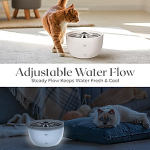 Standpoint Cat Water Fountain, 3L Ultra-Quiet Stainless Steel with White Bowl Dog & Cat Water Dispenser with Filter – Perfect for Pet Hydration