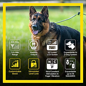 Dogtra ARC HANDSFREE Plus Boost and Lock, Remote Dog Training E-Collar, HANDSFREE Square for Discreet Control, Waterproof, Rechargeable, 3/4-Mile Range, 1 Dog Expandable System Medium, Large Dogs