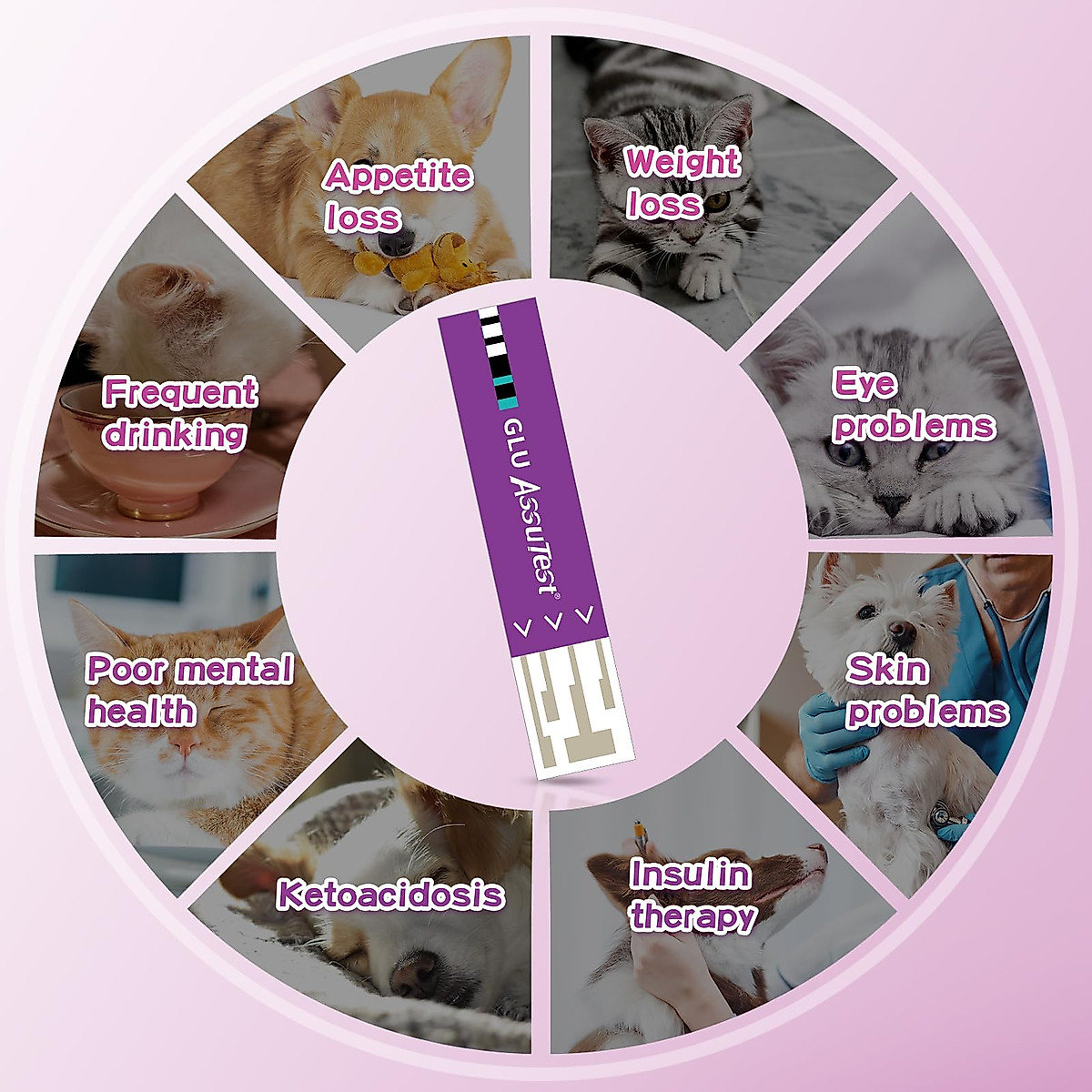 AssuTest® Blood Glucose Pet Health Monitoring Test Strips – Home Veterinary Care for Accurate Measurements – Manage Your Pet's Diabetes in an Affordable and Convenient Way - 25 Pcs/Box with 25 Lancets