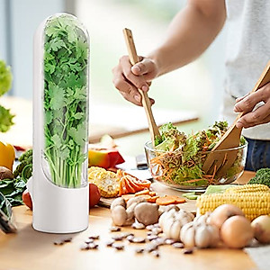 plplaaobo Herb Keeper, Freshest Herb Savor Fridge Organizer, Herb Storage Cilantro Containers for Refrigerator, Savor Keeps Greens Preserver for Cilantro, Parsley, Basil, Chives, Mint for 2-3 Weeks