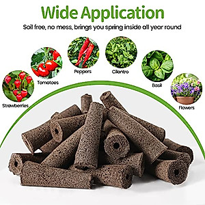 Feyut 30 Pack Grow Sponges, Replacement Root Growth Sponges Seed Pods Compatible with AeroGarden, Seedling Starter Sponges Kit for Hydroponic Indoor Garden System with 10pcs Plant Labels 1pcs Tweezer