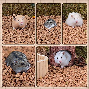 Rubor Hamster Bedding Natural Cork Granule Pet Litter for Hamster Chinchillas Gerbil Mice Degu Small Animals-No-Dust