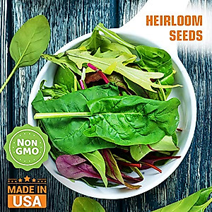 Heirloom Non-GMO Lettuce and Greens Seeds Variety Pack for Outdoor and Indoor Gardening & Hydroponics, 5000+ Seeds - Kale, Butter, Oak, Spinach, Romaine Bibb & More