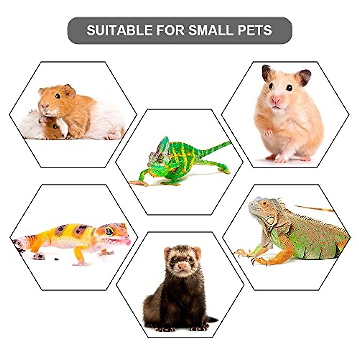 Bearded Dragon Leash, Adjustable Portable Reptile Leash with Cool Wings for Gecko, Bearded Dragon, Chameleon, Iguana, Hamster, Guinea Pig (S+M+L)