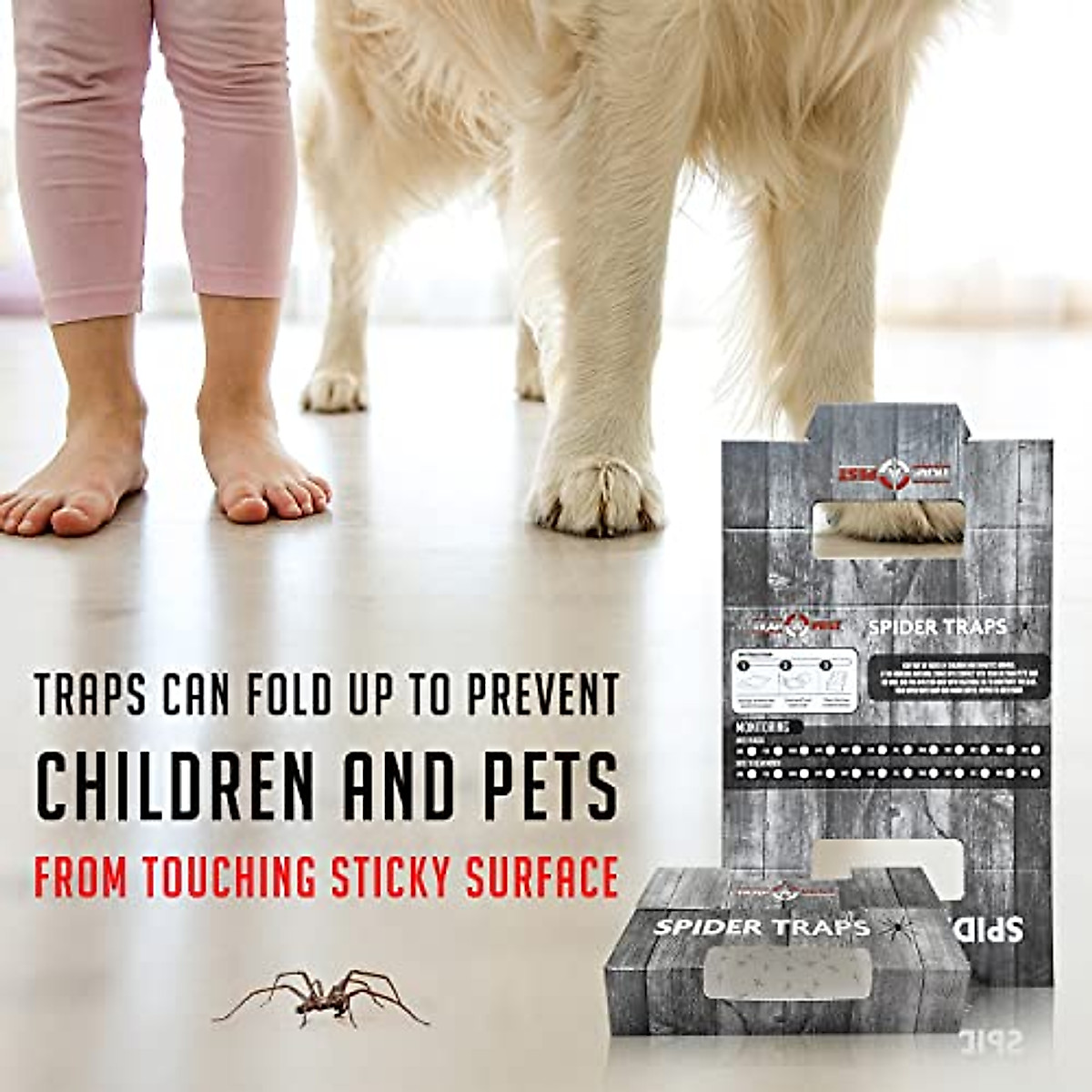 Spider Traps for Inside Your Home (16 Traps) - Spider Catcher Insect Traps Indoor - Spider Traps Indoor Bug Traps Sticky Traps for Spiders - Pre Baited Ultra Sticky Insect Glue Traps - Trap a Pest