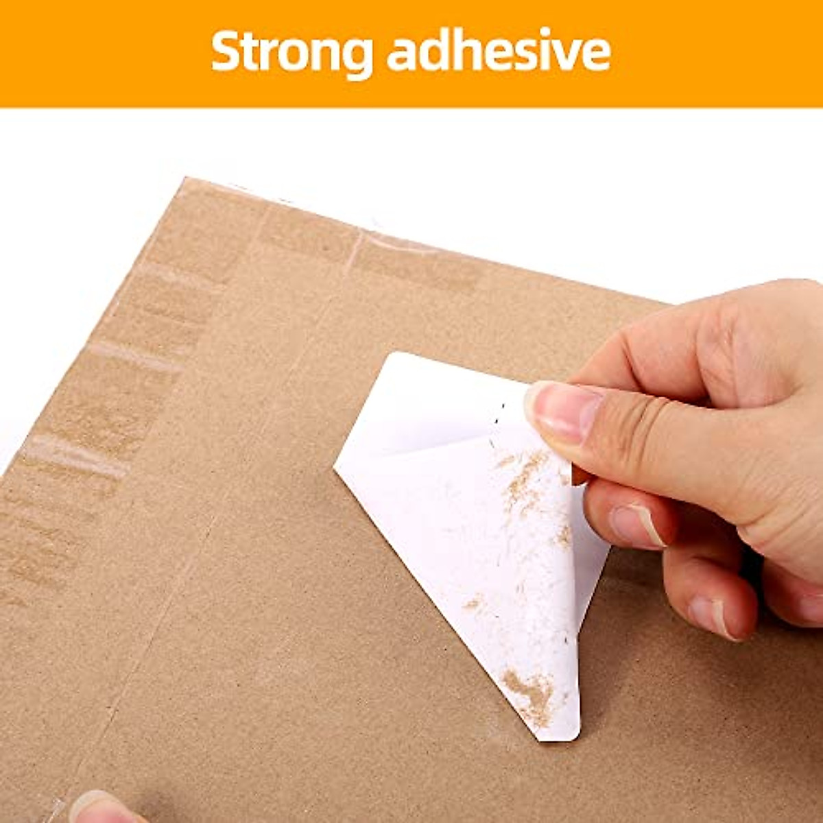 Label KINGDOM Label Replace for Brother Ql-820nwb DK-2205 Continuous Length 62mm x 30.48m (2-3/7" x 100') Paper Label Roll for QL 800 QL-1110NWB Label Printers (6 Rolls+ 1 Refillable Cartridge)