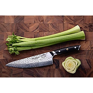 EAGLES KITCHENWARE Chef's Knife Eagles Power Series AUS10 Japanese Super Steel Vacuum treated Gift Box Blade Guard (8" Chef's Knife)