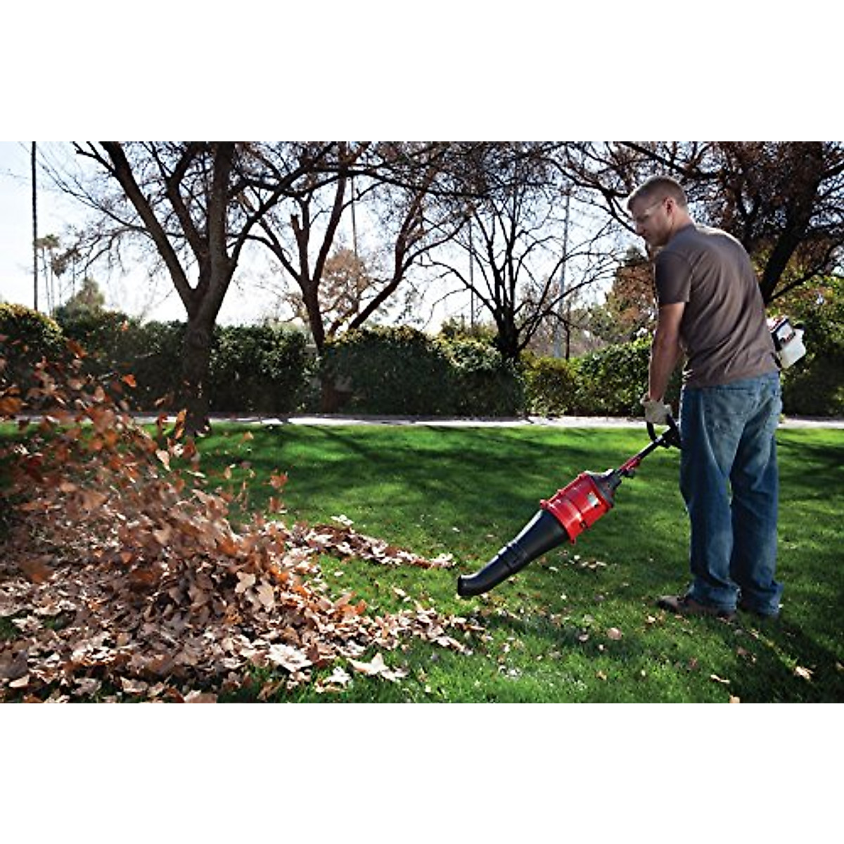 TrimmerPlus CB720 High Performance Blower with Concentrator