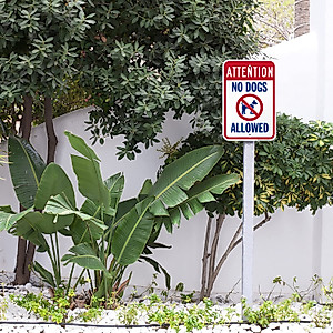 SmartSign Attention No Dogs Allowed Sign - 2 Pack, 18 x 12 inch, 2mm Aluminum Composite, Pre-Drilled Holes, Blue/Red on White, Made in USA