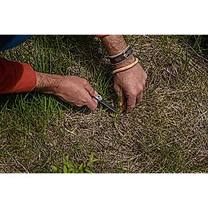 Gerber Gear Spire Pocket Knife - 2.93" Plain Edge Blade Assisted Opening Folding Knife - EDC Gear and Equipment - Aluminum