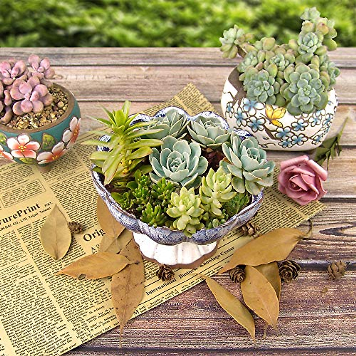 Summer Impressions 6 Inch Glazed Terracotta Succulent Planter with Drainage Hole Clear Plant Saucer Cactus Planter Pot Bonsai Pot Clay Pot Flower Pot (Lotus Blue with Saucer)