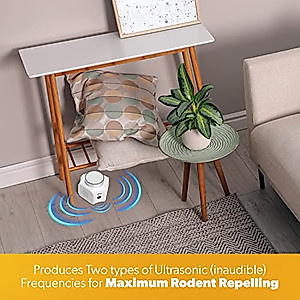 Pestzilla Ultrasonic Pest Repeller – Humane Mouse Repellent & Rat Deterrent - Ultrasound Impluse and LED Strobe Lights – Perfect for Squirrel Repellent Household Pests Repeller & Mice Repellant