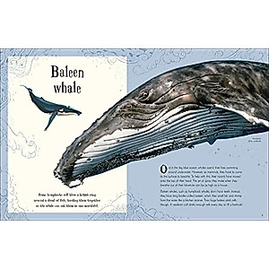 An Anthology of Intriguing Animals (DK Children's Anthologies)