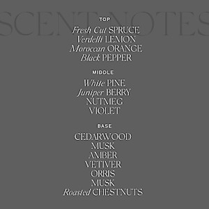 Antica Farmacista Reed Diffuser White Spruce, 8.45 Fl Oz