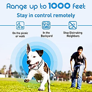 Extra Small Size Dog Training Collar with Remote for Small Dogs 5-15lbs and Puppies with Shock - Waterproof & 1000 Ft Range