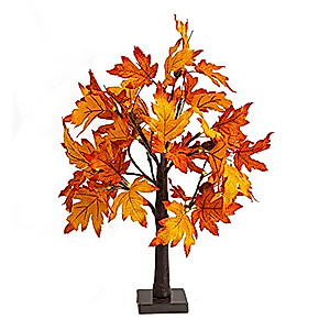 Dazzle Bright 24 Inch Lighted Thanksgiving Fall Maple Tree Decor, 24 LED Battery Operated Decorations Artificial Tree with Timer for Indoor Home Room Holiday Xmas Party