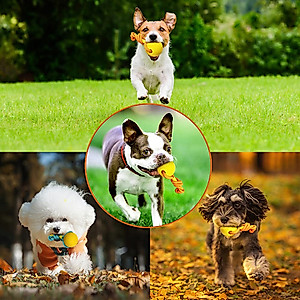 Dog ball on rope toys for aggressive chewers,Interactive dog ball toy almost indestructible for small dogs,Floating puppy chew toys2.76in