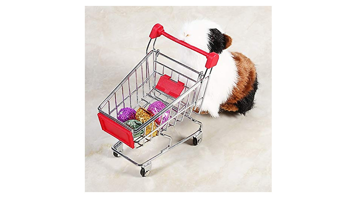 Parrot Cart Toy - Fun Mini Shopping Trolley