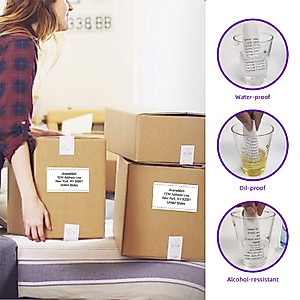 AveneMark 12 Rolls Compatible DYMO 30323 (2-1/8" x 4") Shipping Labels, Direct Thermal Address Shipping Postage Barcodes, Compatible with Rollo, DYMO 4XL & Zebra Desktop Printers (220 Labels/Roll)